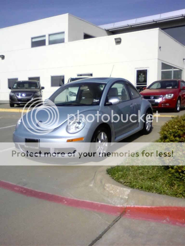 Laycee | VW Beetle Forum