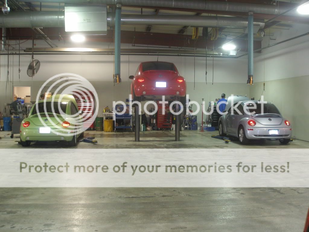 Laycee | Page 2 | VW Beetle Forum